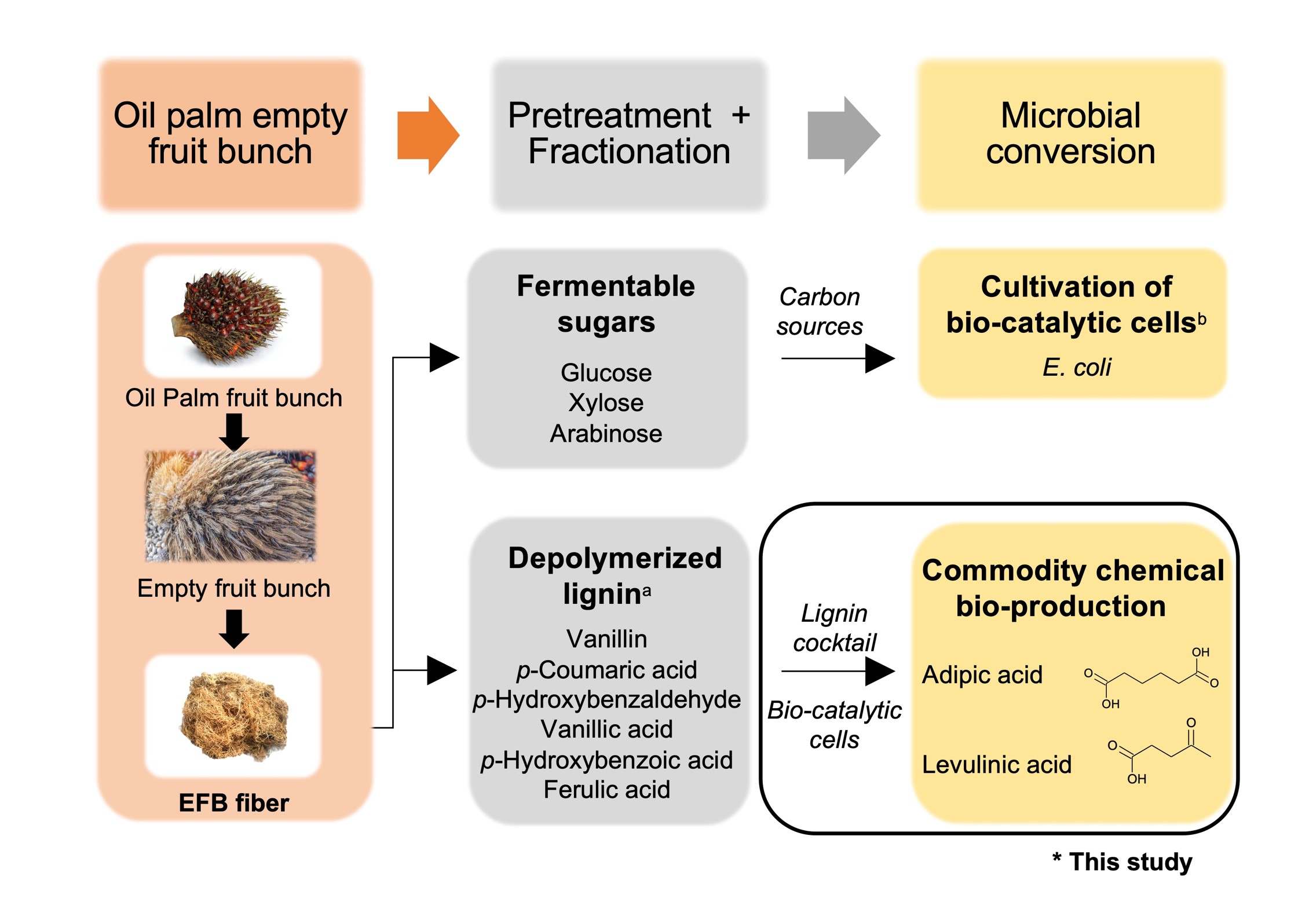 Deriving Commodity Chemicals From Palm Oil Production Byproducts Nus Tech Portal