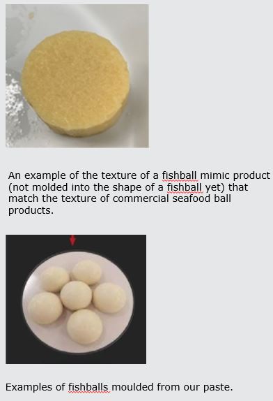 Plant-based Fishballs | NUS Tech Portal