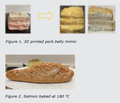 3D Printed Salmon and Pork Belly | NUS Tech Portal