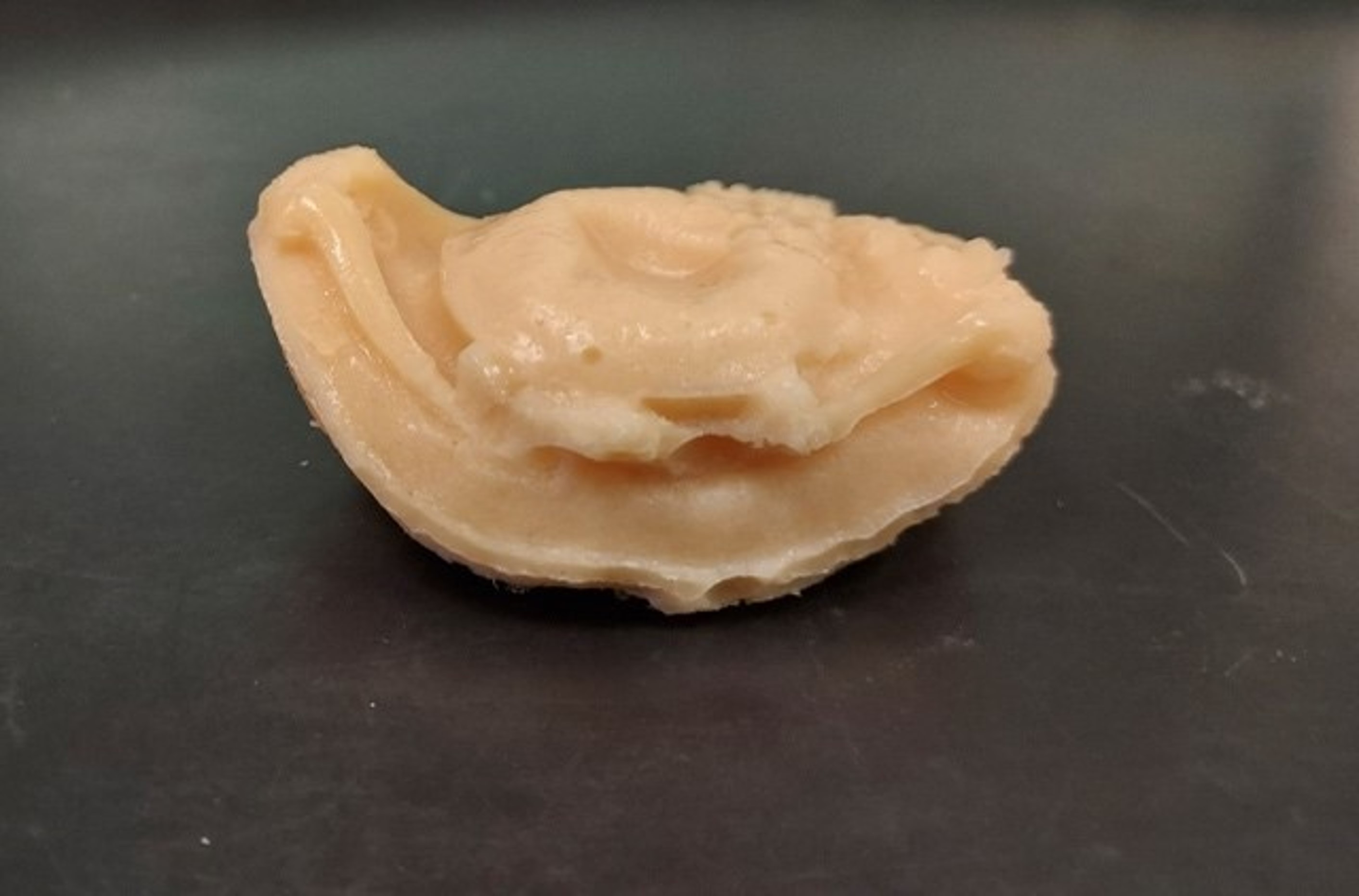 Plant-Based Abalone Mimic | NUS Tech Portal
