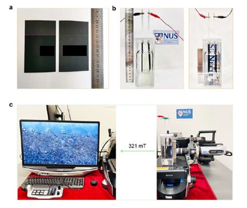 Catalyst for Enhanced Water Splitting | NUS Tech Portal