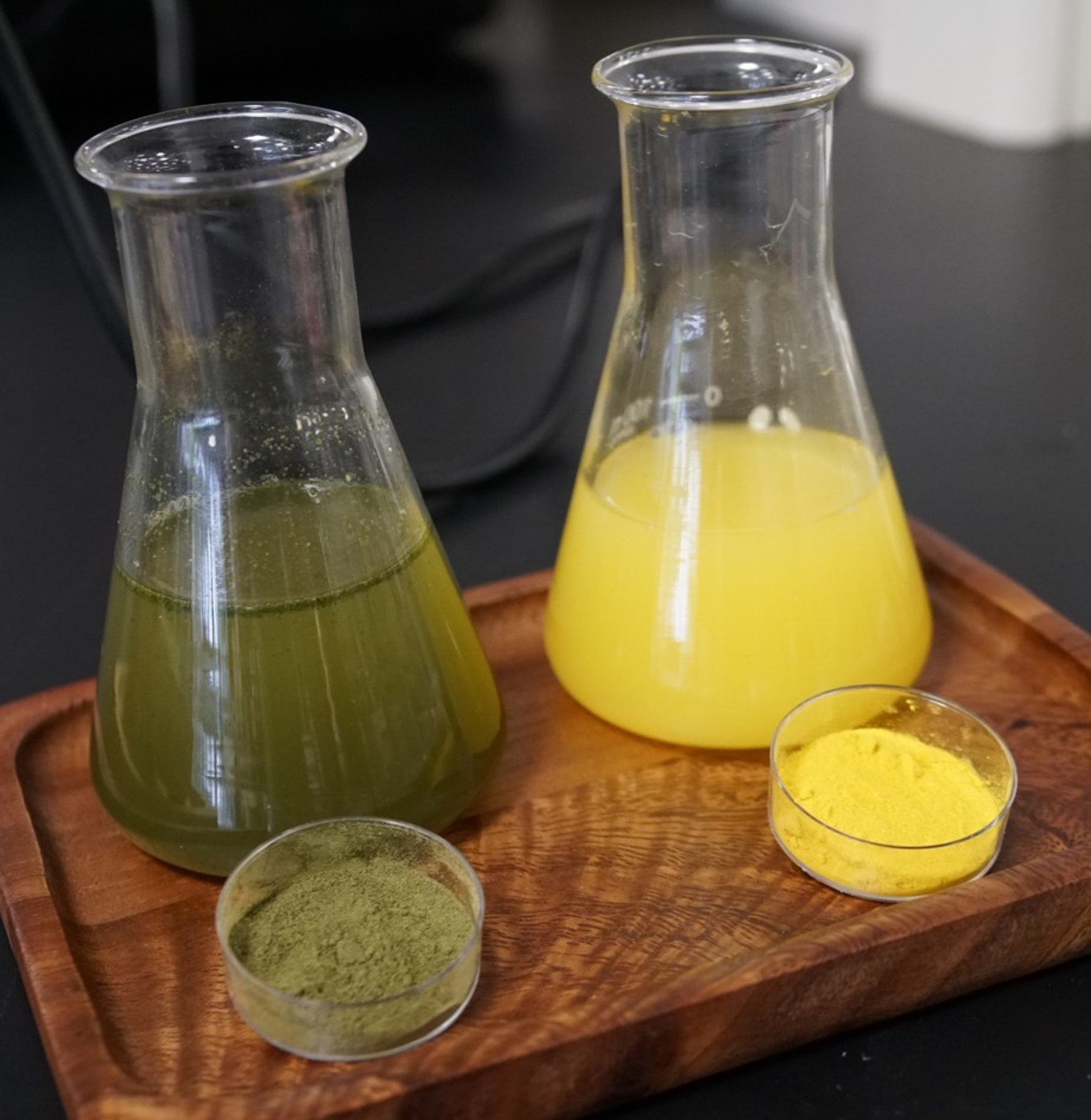 Transforming food waste into a nutrient-rich superfood | NUS Tech Portal